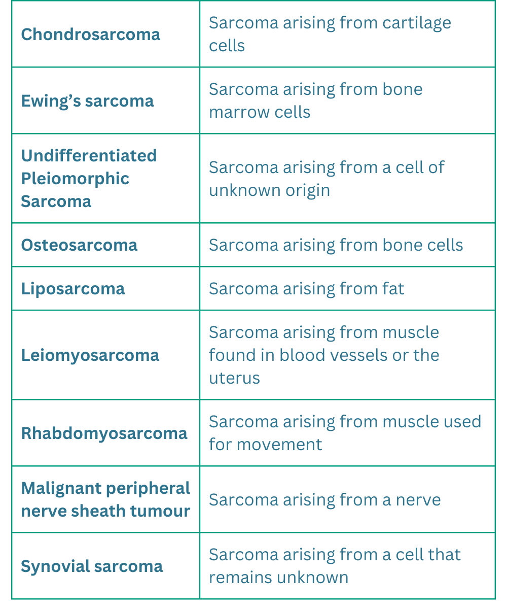 What Is Sarcoma – Sarcoma and Bone Cancer Research Foundation ...
